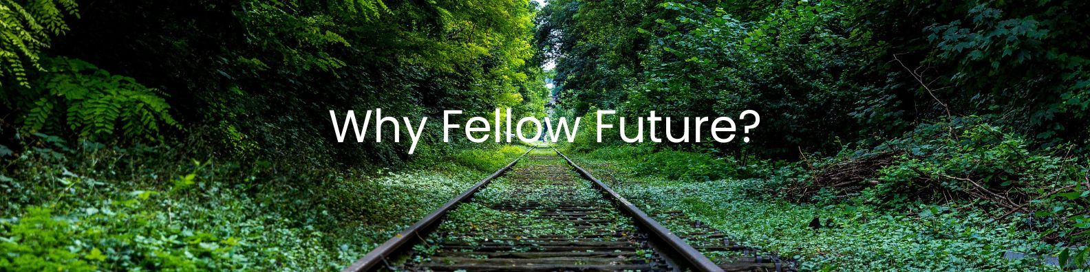 Why Fellow Future